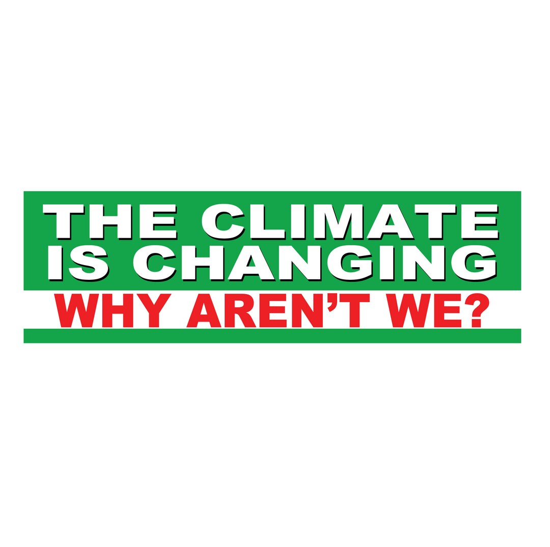 Climate Change Bumper Sticker: Environmental Activist Car Decal - Etsy