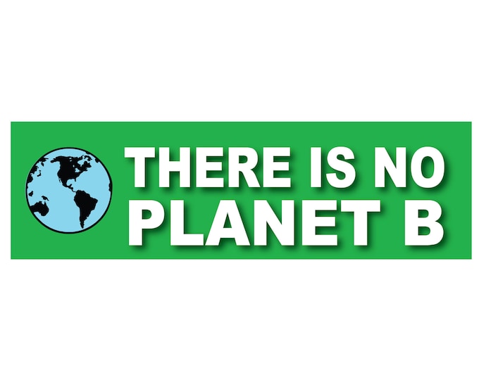 There is No Planet B Sticker / Climate Change Sticker / Earth Sticker ...