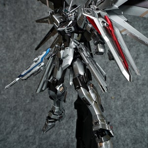 MG 1/100 Freedom Gundam Ver.2.0[customize Silver Coating] Painted ...