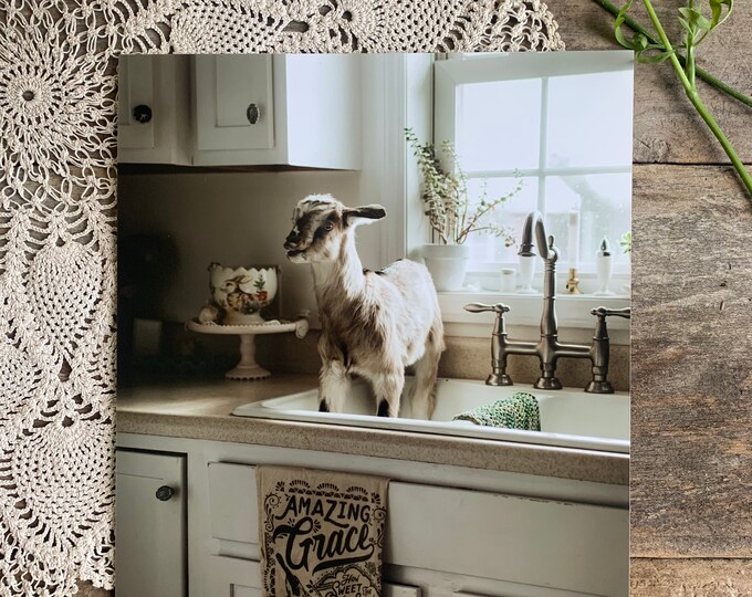 Goat in the Sink Print - Etsy