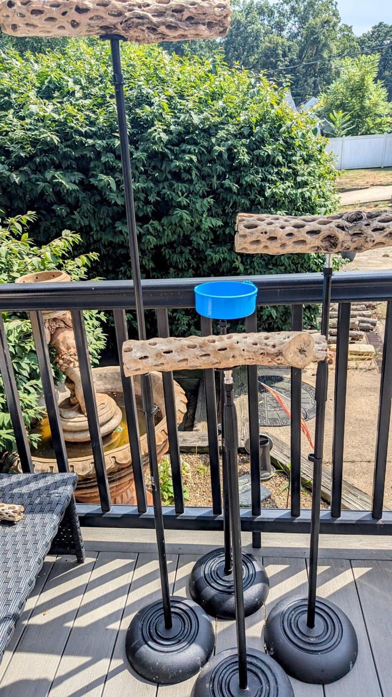 Adjustable Bird Training Perch Stand - Etsy