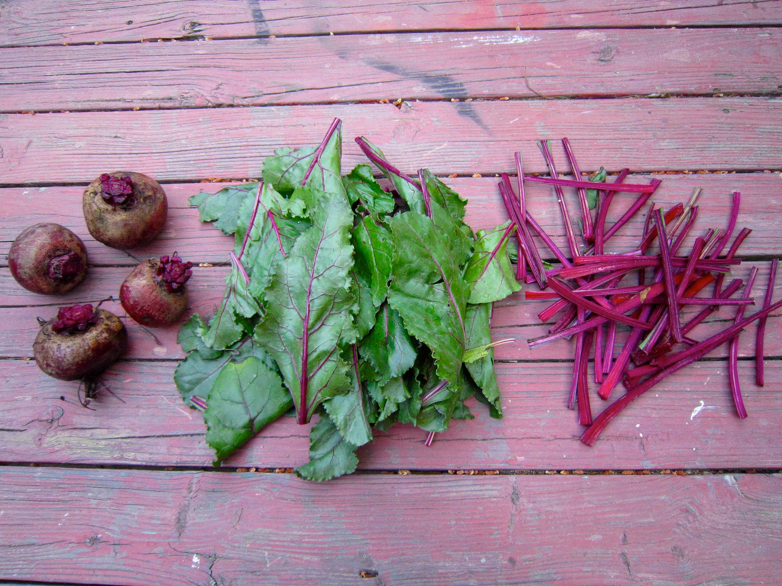 Red Beet Seeds Detroit Dark Red Beet Root Seeds Organic Non | Etsy