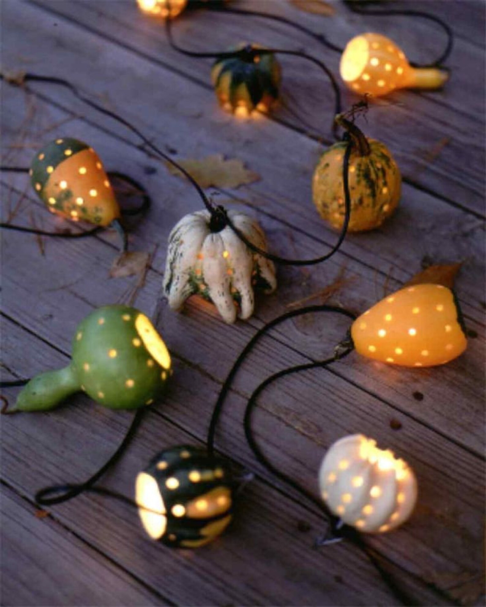 Small Gourd Mix Seeds USA Garden Fall Autumn Wing Pumpkin Ornamental ...