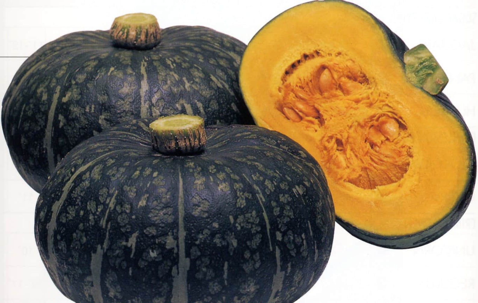 Kurinishiki Japanese Mini Pumpkin Kabocha Winter Squash Seeds Non GMO ...
