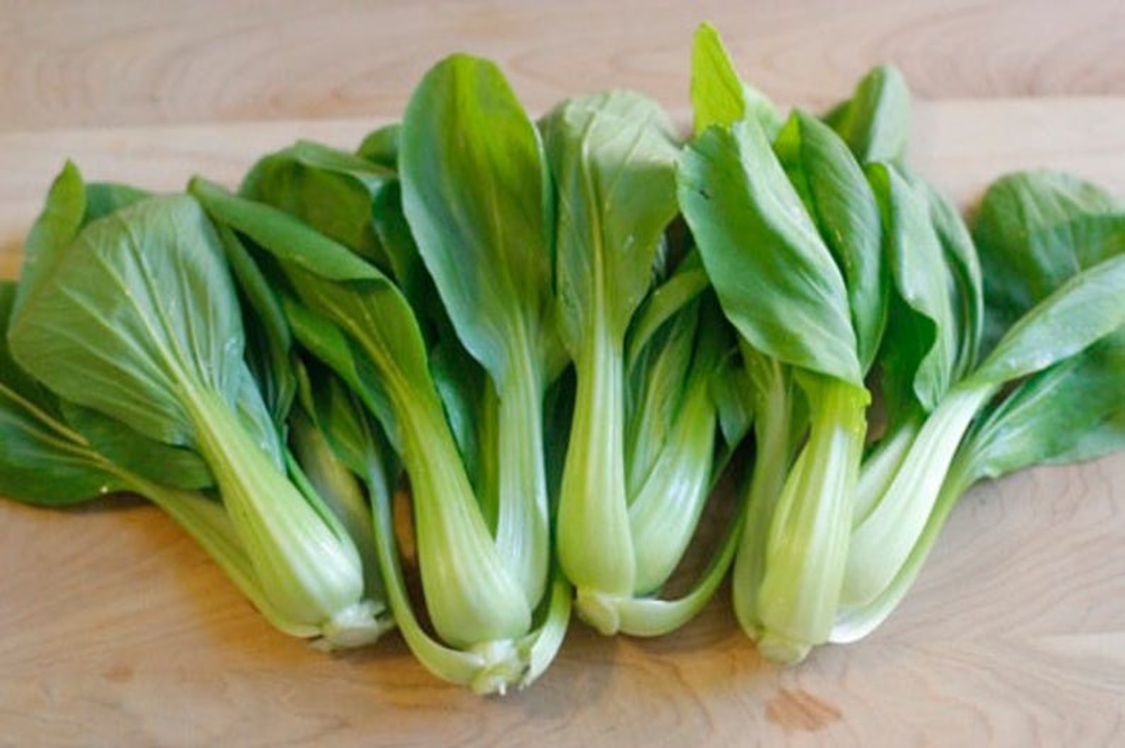 Bok Choy Pak Choi Seeds USA Pok Choy Canton Asian Vegetable Chinese ...