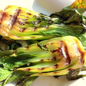 Bok Choy Pak Choi Seeds USA Pok Choy Canton Asian Vegetable Chinese ...