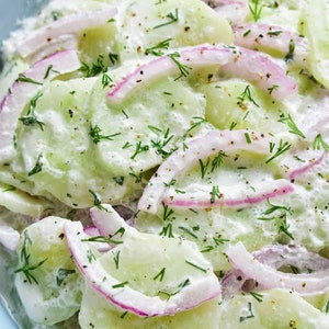 Spacemaster Cucumber Bush Pickling Slicing Cucumber Cuke Seeds Organic ...