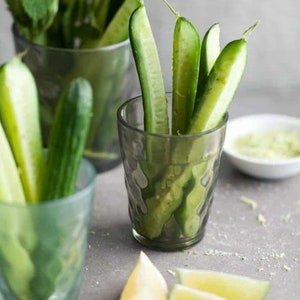 Spacemaster Cucumber Bush Pickling Slicing Cucumber Cuke Seeds Organic ...