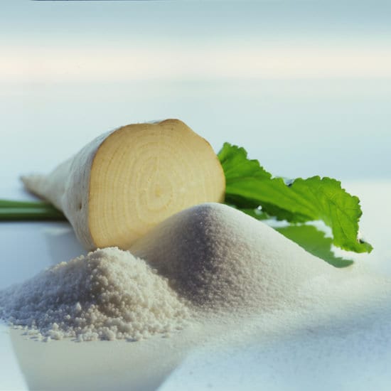 Sugar Beet Seeds White Sugar Beetroot Turnip Seeds Organic Non GMO ...