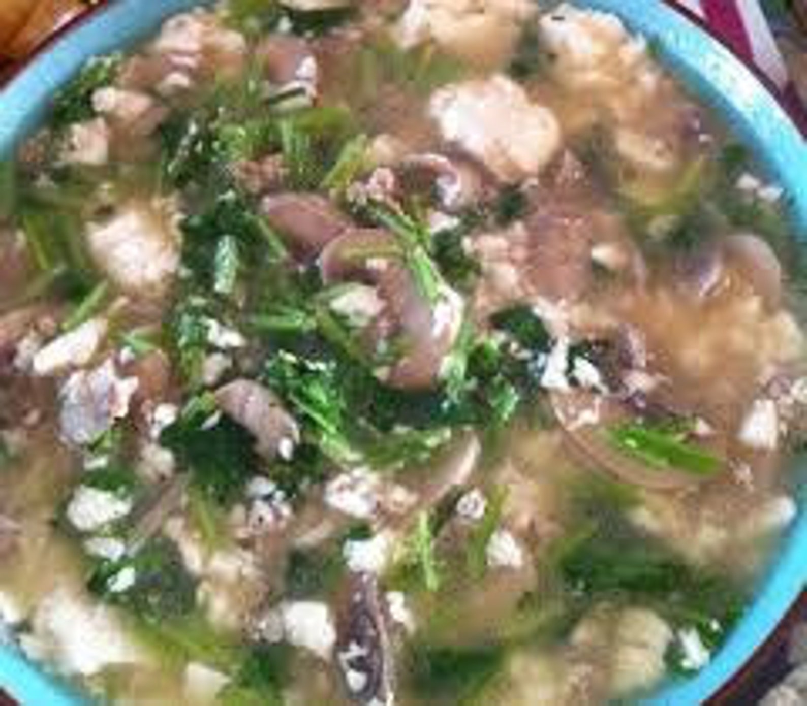 Upland Cress Seeds Land Cress Winter Cress Creasy Greens Seeds | Etsy