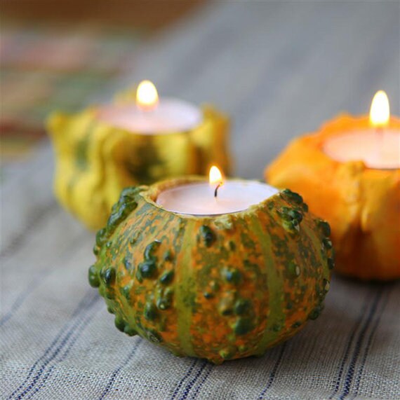 Small Gourd Mix Seeds USA Garden Fall Autumn Wing Pumpkin Ornamental ...