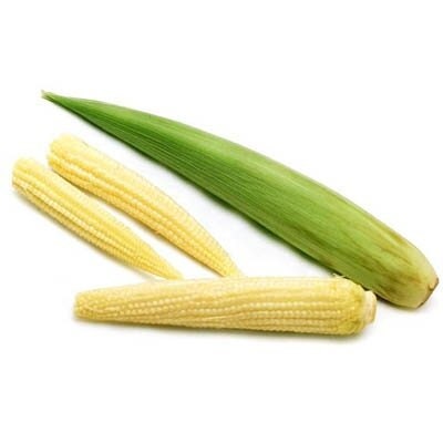 Baby Corn Seeds Japanese Hulless Corn Popcorn Mini Corn Seeds Non GMO ...