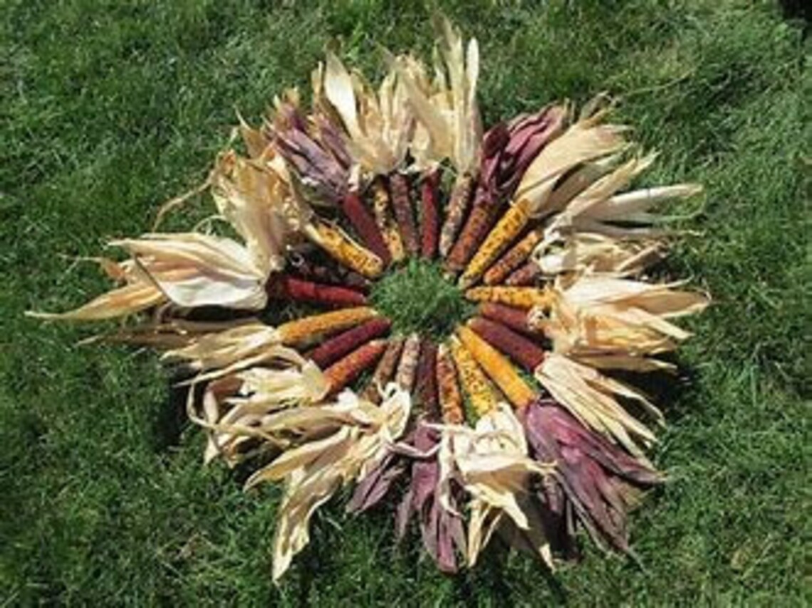 Corn Ornamental Indian Corn Flint Corn Calico Corn Seeds | Etsy