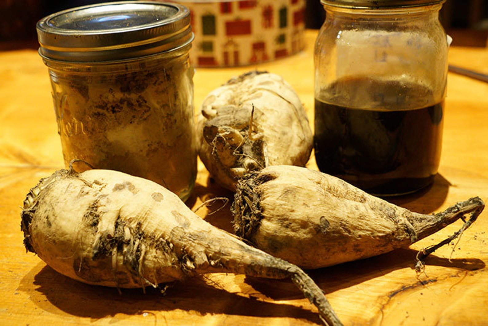 Sugar Beet Seeds White Sugar Beetroot Turnip Seeds Organic Non GMO ...