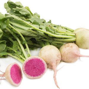 Watermelon Radish Seeds USA Shinrimei Chinese Red Heart Meat Daikon ...