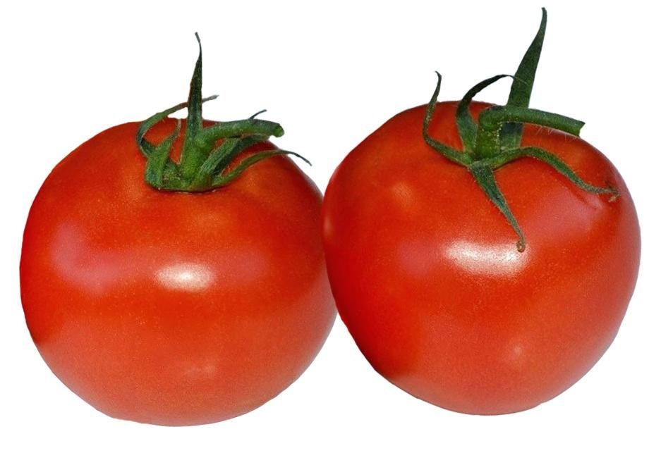 Marglobe Tomato Seeds Bush Determinate Organic Non GMO Heirloom - Etsy