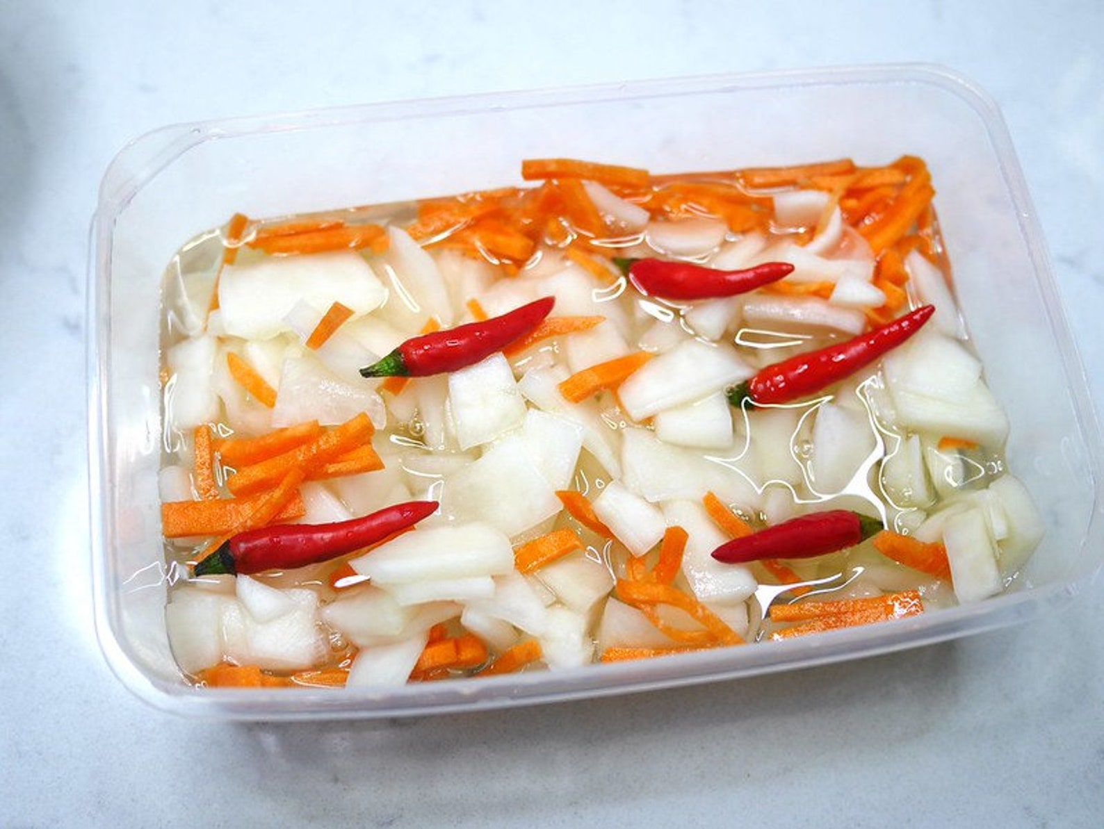 Daikon Radish Seeds Chinese Luóbo Lobak Lo Pak White Carrot | Etsy