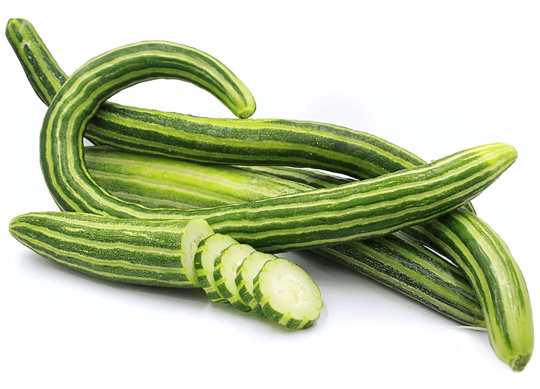 Snake Gourd Seeds Serpent Gourd Chichinda Padwal Seeds Organic Non GMO ...
