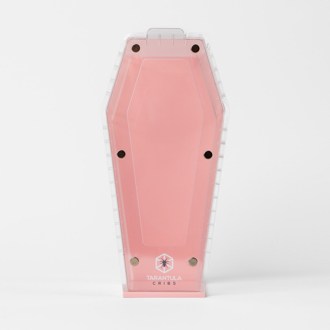 Coffin Crib Pink Mini Jumping Spider Enclosure Spider Enclosure ...