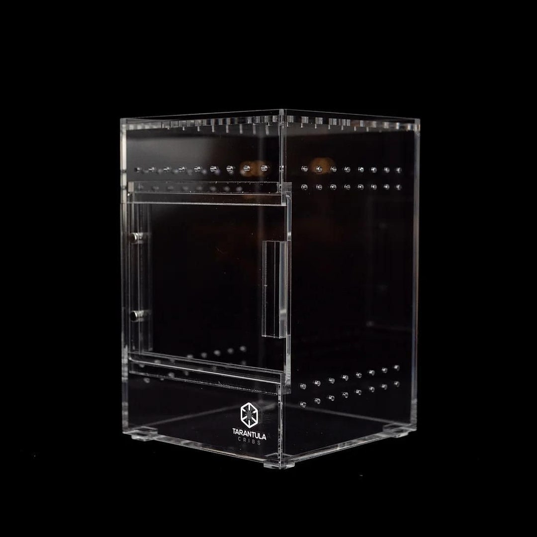 Small Treehouse clear Arboreal Tarantula Enclosure Jumping Spider ...