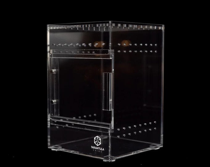 Small Treehouse (clear) | Arboreal Tarantula Enclosure| Jumping Spider ...