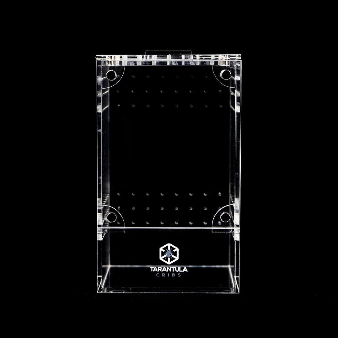 Extra Small Treehouse Arboreal Spider Enclosure Jumping Spider ...