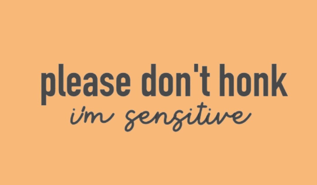 Please Don't Honk I'm Sensitive Car Decal Bumper - Etsy