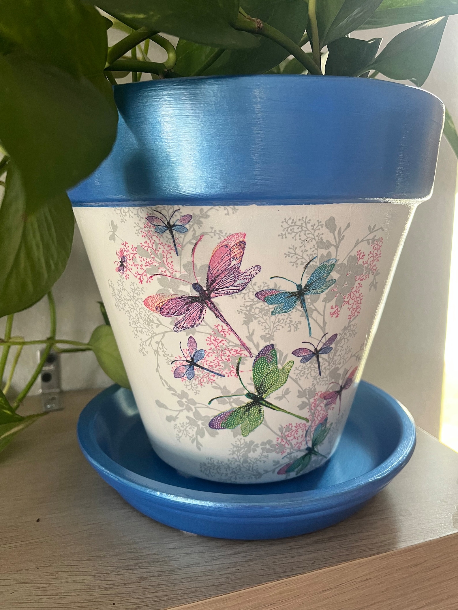 Dragonflies Decoupage Hand Painted Terracotta Plant Pot - Etsy
