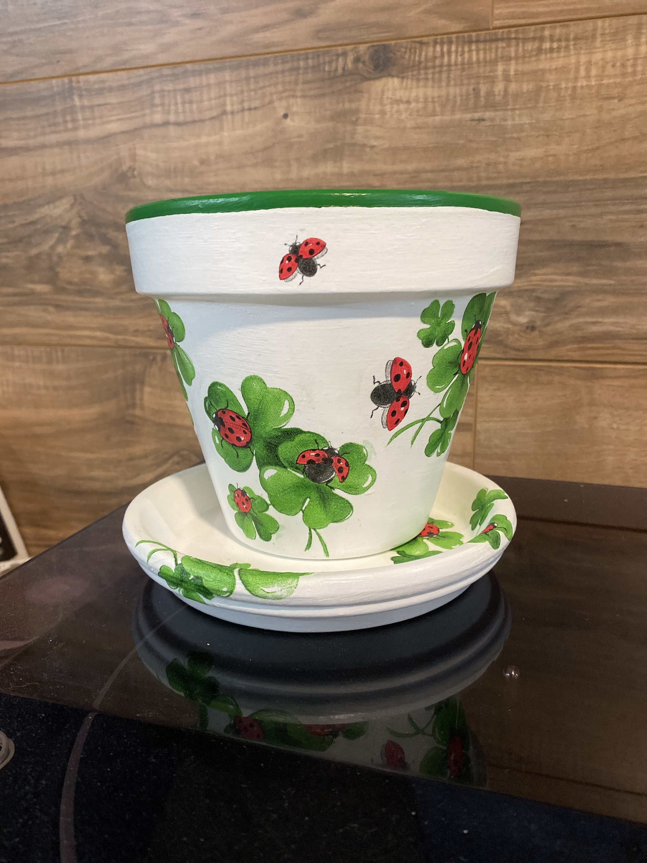 Lady Bugs Decoupage Hand Painted Terracotta Plant Pot - Etsy