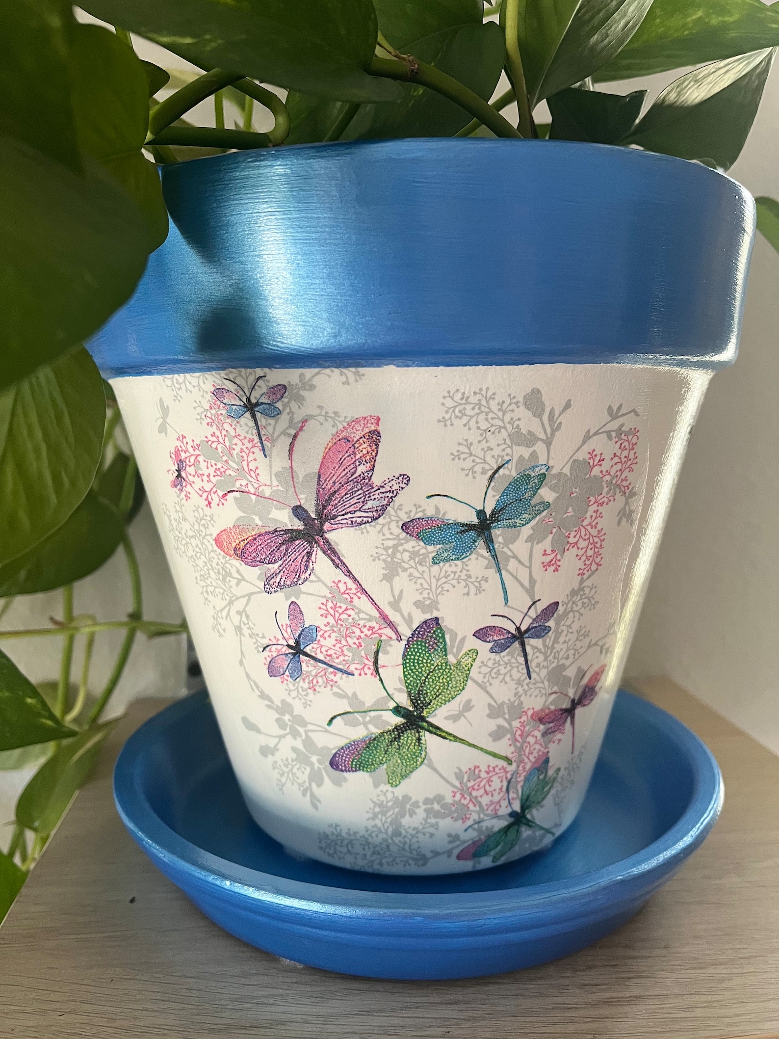 Dragonflies Decoupage Hand Painted Terracotta Plant Pot - Etsy