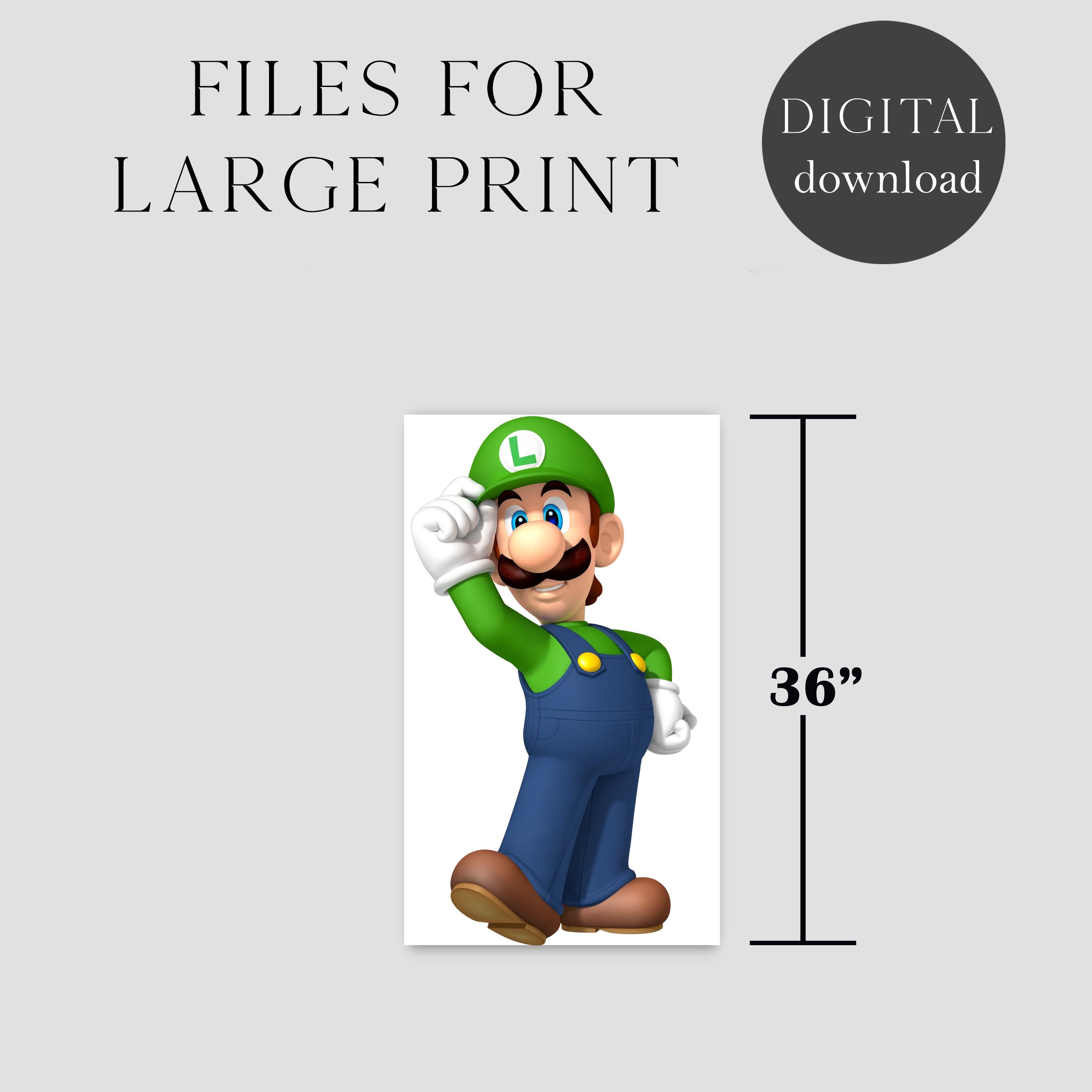 Mario Bros Birthday Prop Bundle: High-resolution Images (digital ...