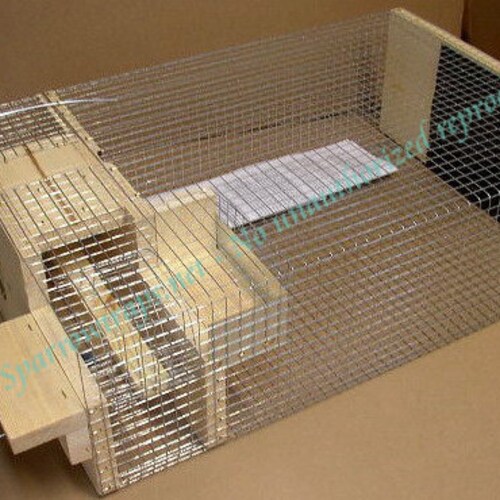 Original Deluxe Repeating Sparrow Trap full Copyright - Etsy