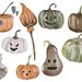 Watercolor Halloween Clipart Halloween PNG Cute Halloween - Etsy