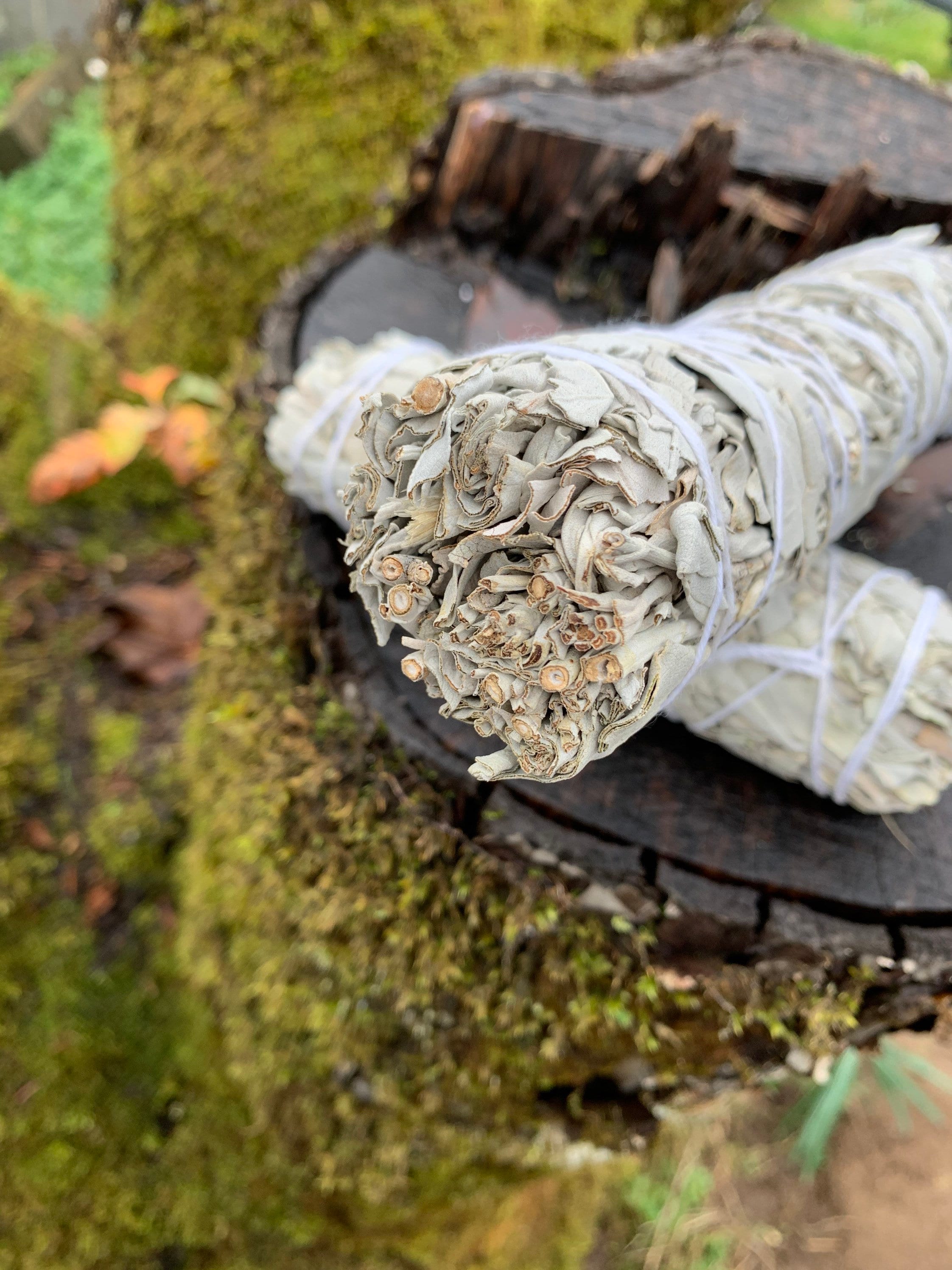 Large White Sage Stick Smudge Stick Sage Bundle | Etsy