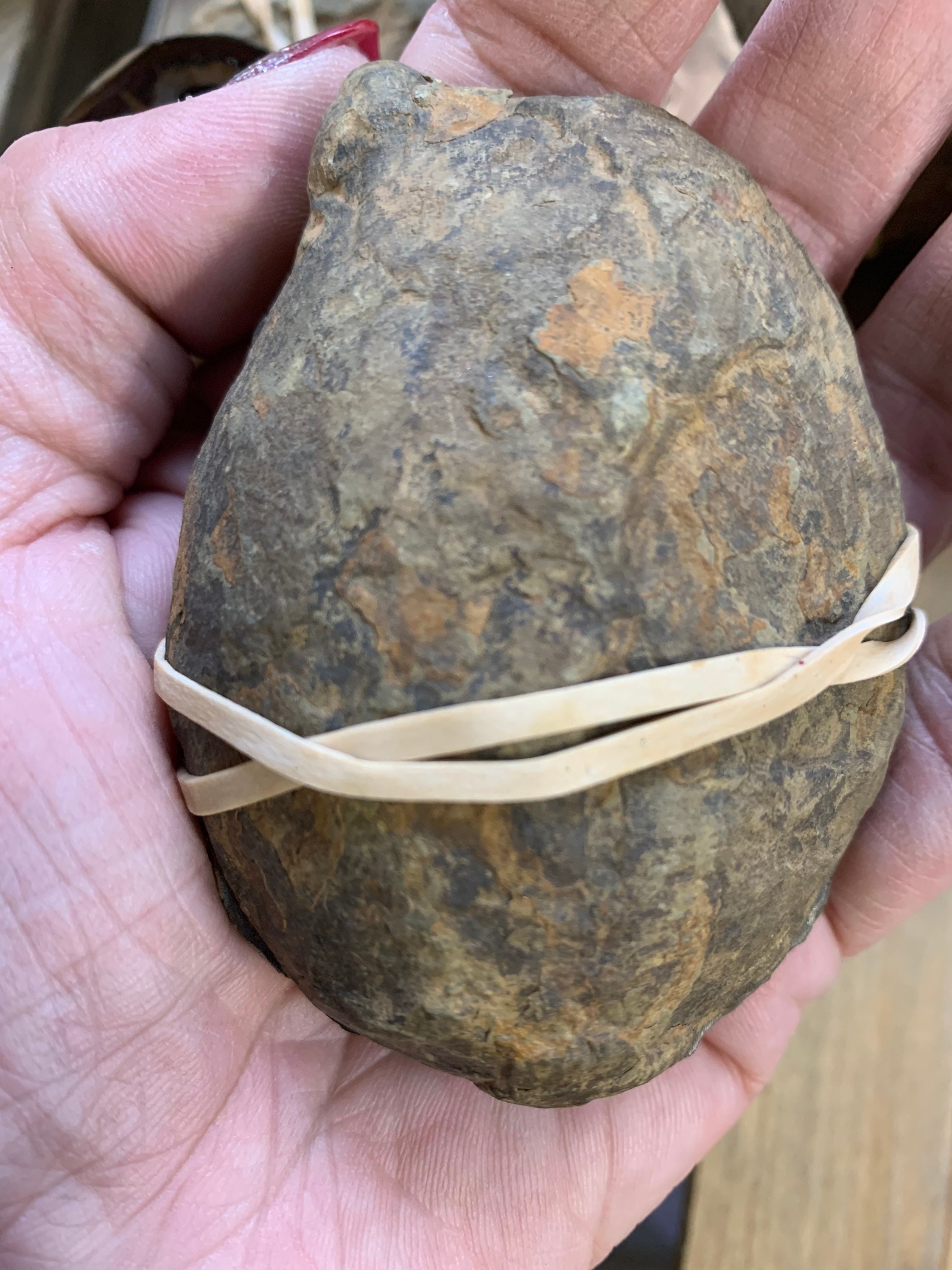 Large 23 Septarian Nodule Pairs Cut and Polished | Etsy