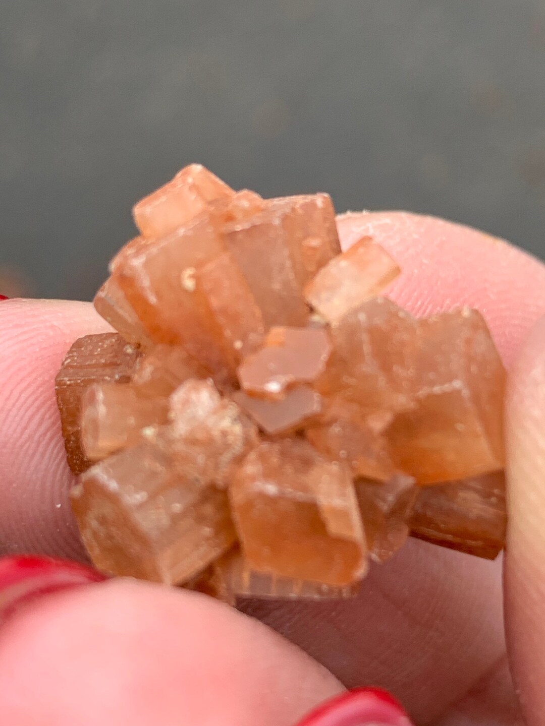 Brown Aragonite Clusters - Etsy