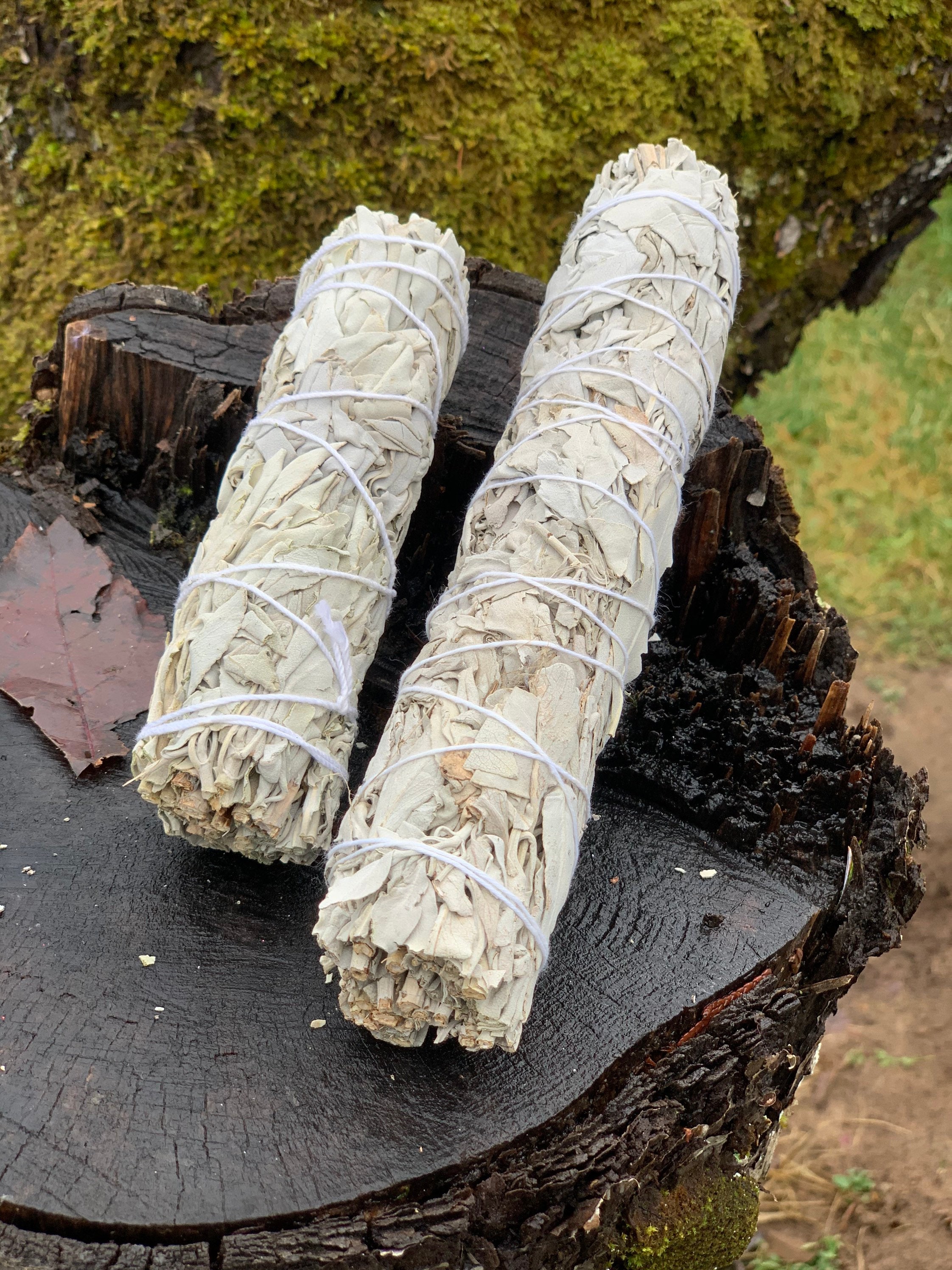 Large White Sage Stick Smudge Stick Sage Bundle | Etsy