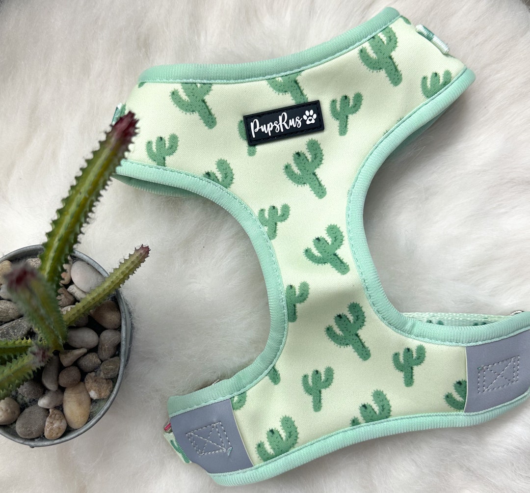 Dog Harness Set Dog Harness and Leash Set Puppy Harness and Leash Green ...