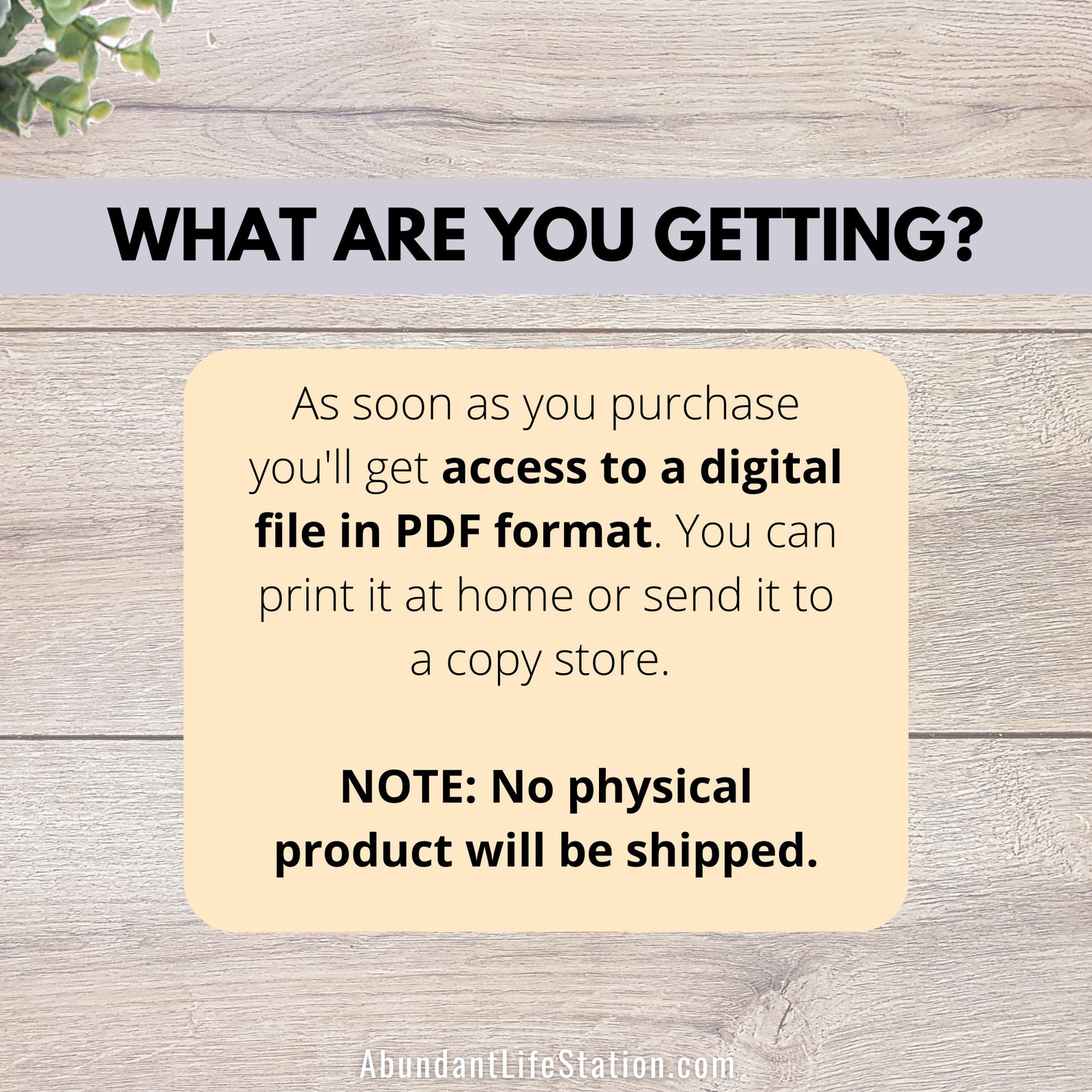 Gratitude Journal Printable PDF 8x11 Size, Digital Download, Daily ...