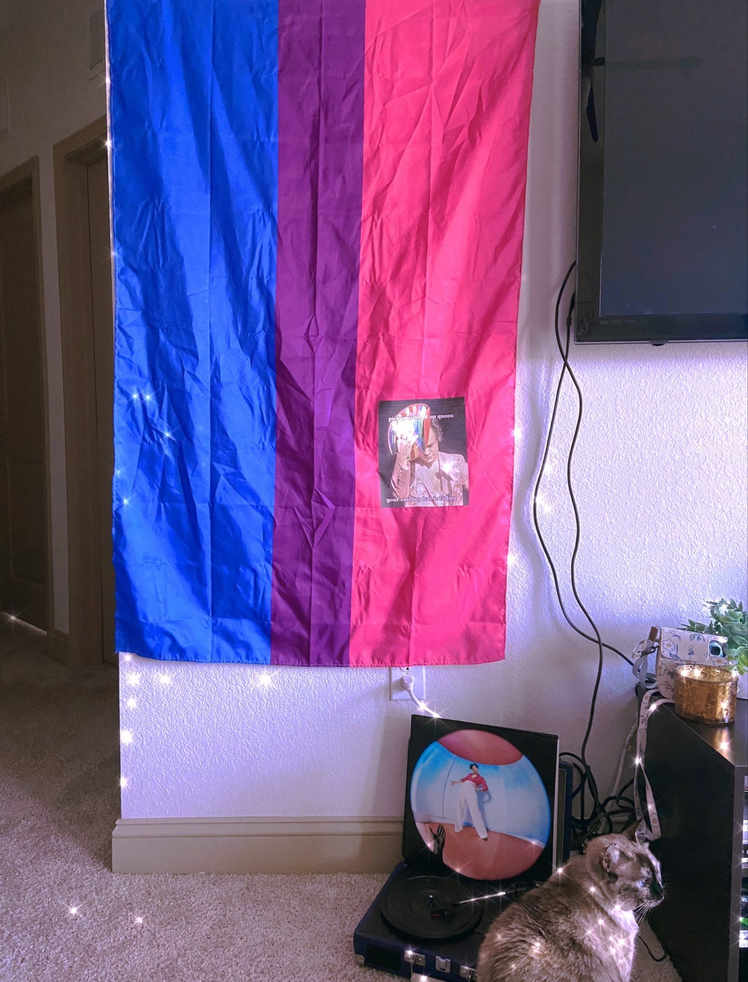 CUSTOM Meme Pride Flag - Etsy