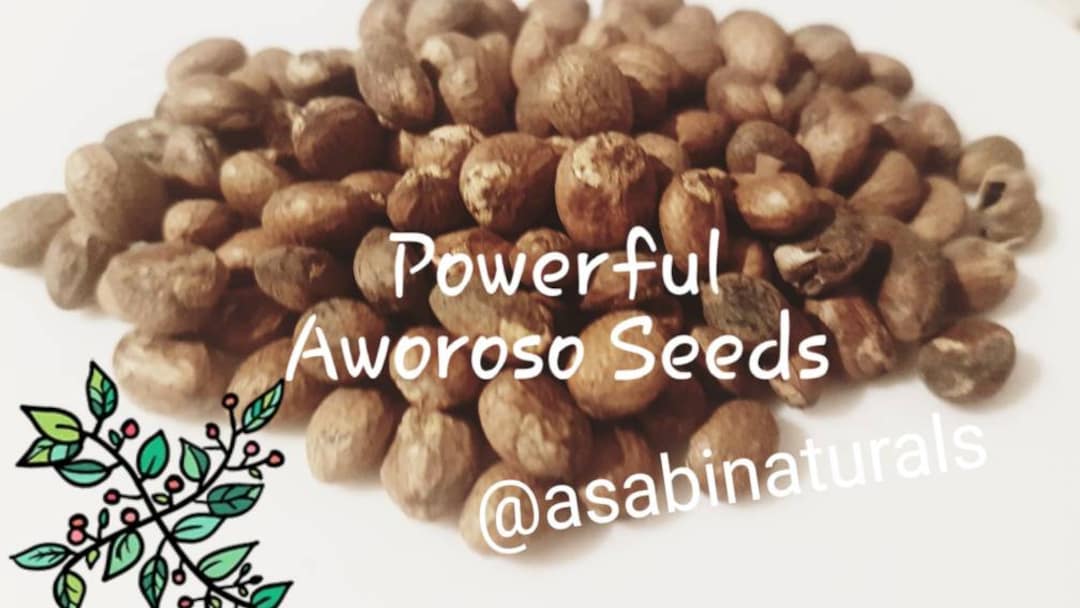 Aworoso Seeds/croton Pendoliflurous Seed - 10g (50+ Seeds) - Etsy