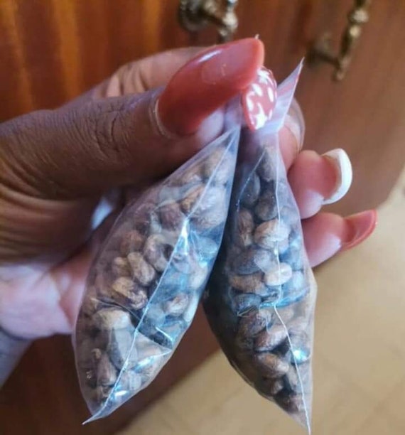 Aworoso Seeds/croton Pendoliflurous Seed 10 Seeds | Etsy