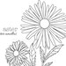 Aster (aster Amellus) Flower Coloring Page/wall Art - Etsy