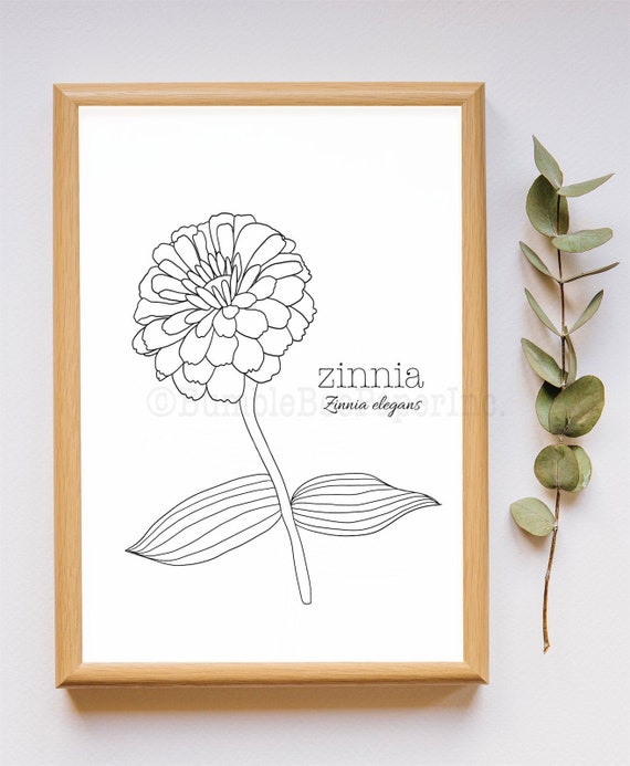 Zinnia zinnia Elegans Flower Coloring Page/wall Art - Etsy