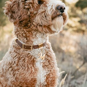 Initial Collar Charm - Letter Tag, Pet Collar Charm, Personalized Pet ...