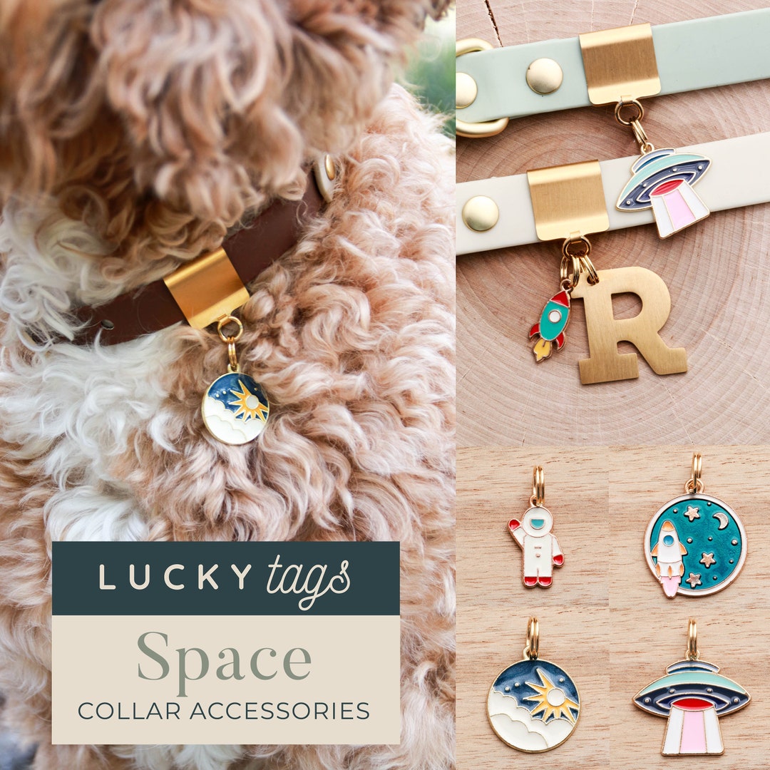 Space Collar Charms - Pet Jewelry, Collar Accessory, Rocket Ship, Spaceship, Moon Charm, Sun ...