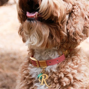 Initial Collar Charm - Letter Tag, Pet Collar Charm, Personalized Pet ...