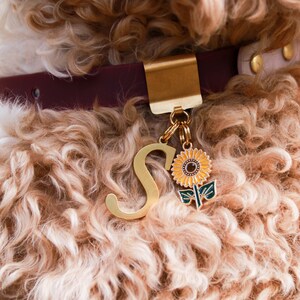 Initial Collar Charm - Letter Tag, Pet Collar Charm, Personalized Pet ...