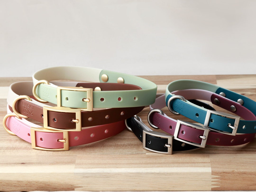 Washable Collar • Stink Proof Collar • Dirt Resistant • Two Tone Collar ...