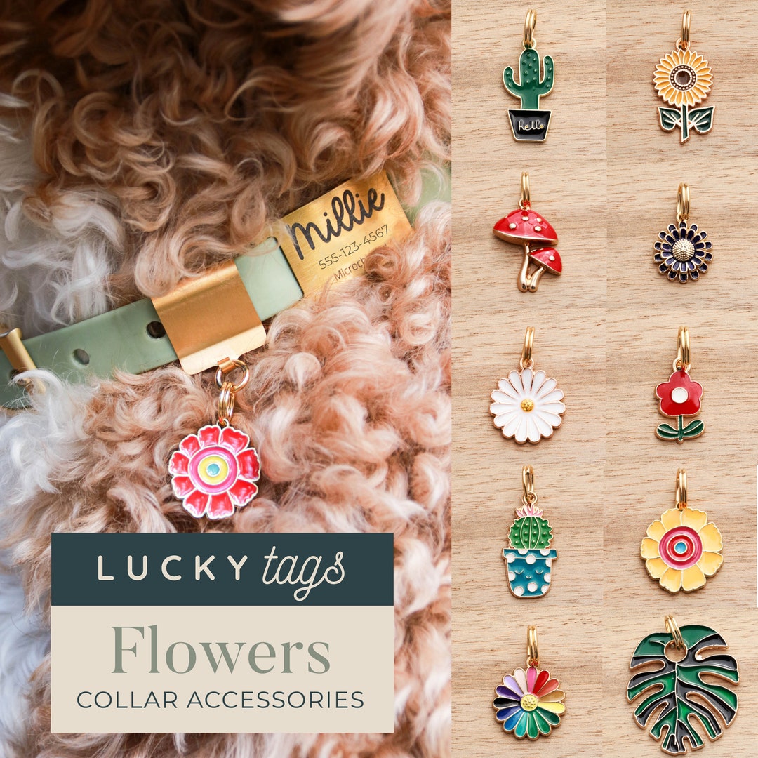 Flower Collar Charms - Pet Collar Accessories, Jewelry for Pets, Pet ...